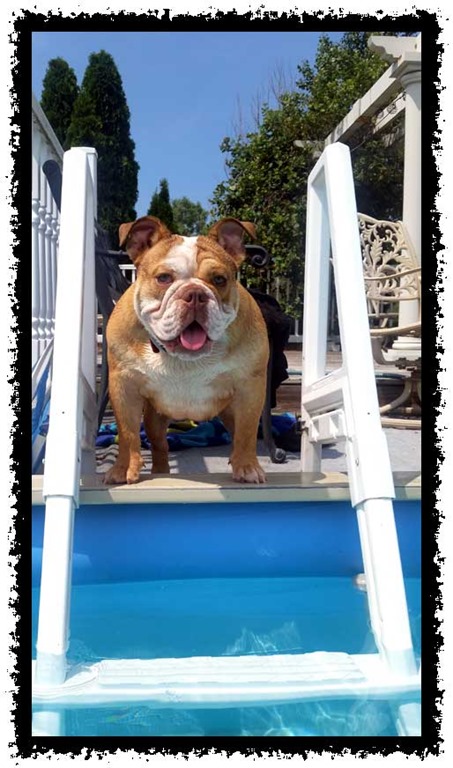 T.G.I Summer!!! – Clayton Hill Studio